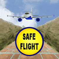 Have A Safe Flight Gif