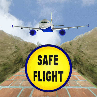 Airplane-travel GIFs - Get the best GIF on GIPHY