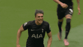 Tottenham Hotspur GIFs on GIPHY - Be Animated