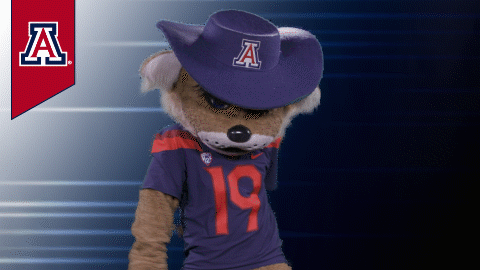 University Of Arizona GIF by College Colors Day - Find & Share on GIPHY