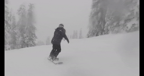 Snow Winter GIF by University of Idaho - Find & Share on GIPHY