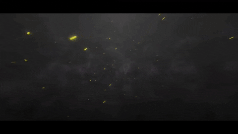 Top40 Music GIFs - Get the best GIF on GIPHY