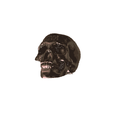 Skull Sticker by Denigro for iOS & Android | GIPHY