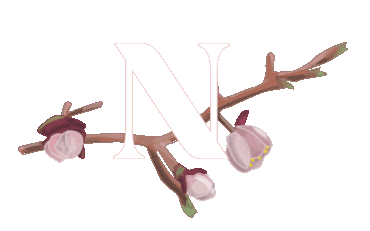 N Sticker by Natuzzi for iOS & Android | GIPHY