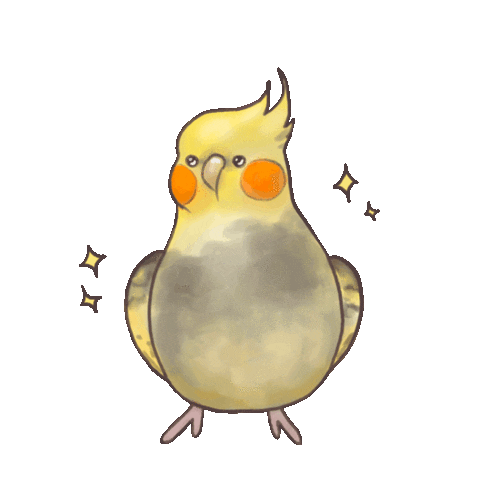 Cute Cockatiel Gif