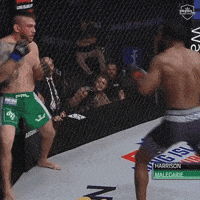 Body Shots Gif