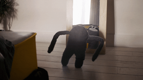 Dancing Sloth Tv GIFs - Get the best GIF on GIPHY