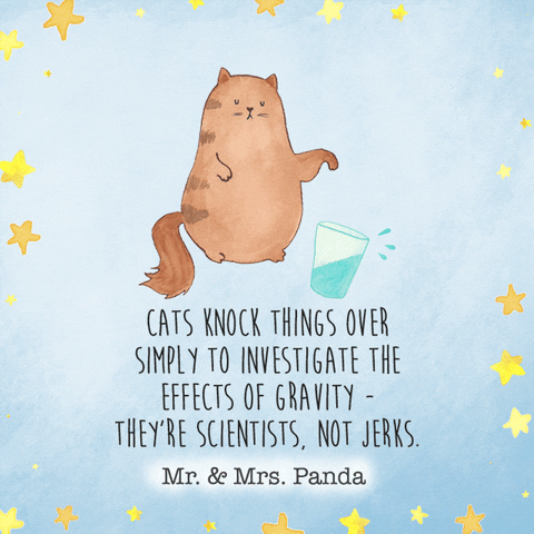 Cats-knocking-things-over GIFs - Get the best GIF on GIPHY