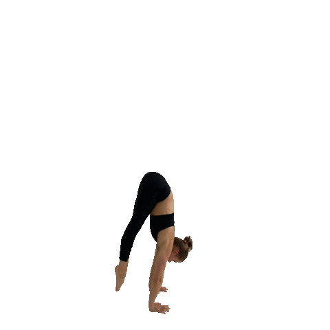 Back Handspring Gif