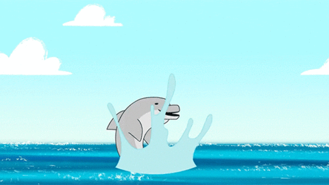 Flipper GIFs - Get the best GIF on GIPHY