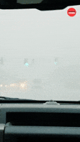 Windshield-wipers GIFs - Get the best GIF on GIPHY