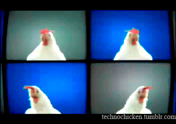 Techno-chicken GIFs - Get the best GIF on GIPHY