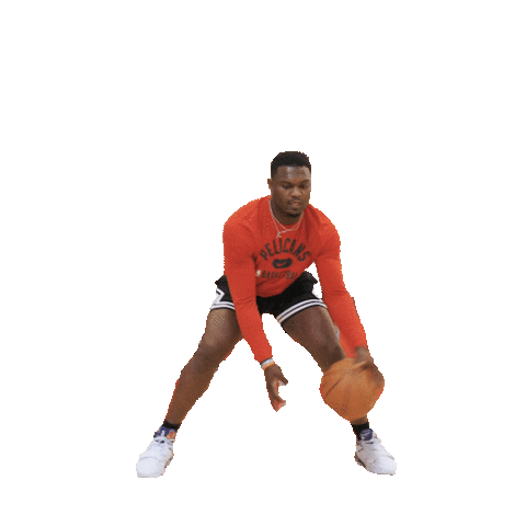 NBA Stickers GIFs on GIPHY - Be Animated