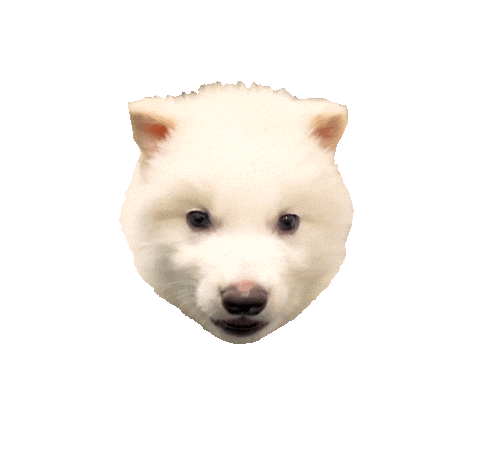 Colossal GIFs on GIPHY - Be Animated