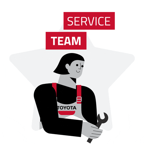 Team-toyota GIFs - Get the best GIF on GIPHY