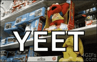 yeet gif simba