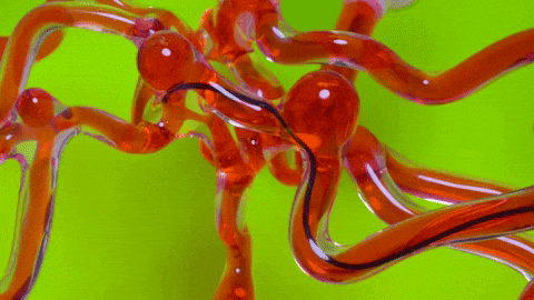 Bioengineering GIFs - Get the best GIF on GIPHY