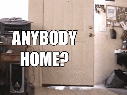 Kids Anybody Home GIF by Pirate's Parley - Find & Share on GIPHY
