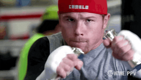 Canelo Alvarez Sport GIF by SHOWTIME Sports - Find & Share on GIPHY