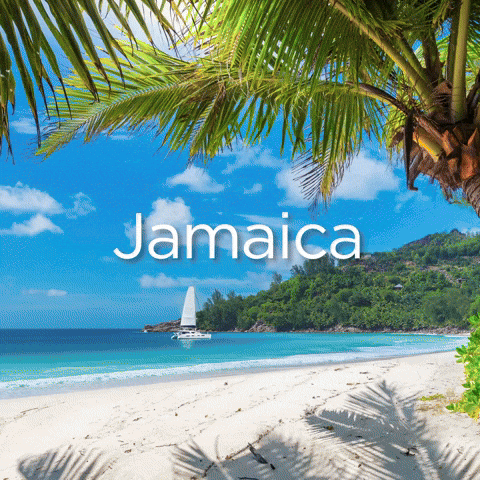 Jamaica GIFs - Get the best GIF on GIPHY