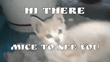 Waving Cat GIFs - Find & Share on GIPHY