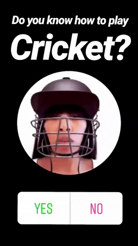 Cow Corner GIFs - Get the best GIF on GIPHY