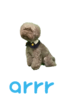 아르르 Sticker by arrr_official for iOS & Android | GIPHY