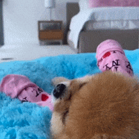 Baby Sloth In Pajamas Gif