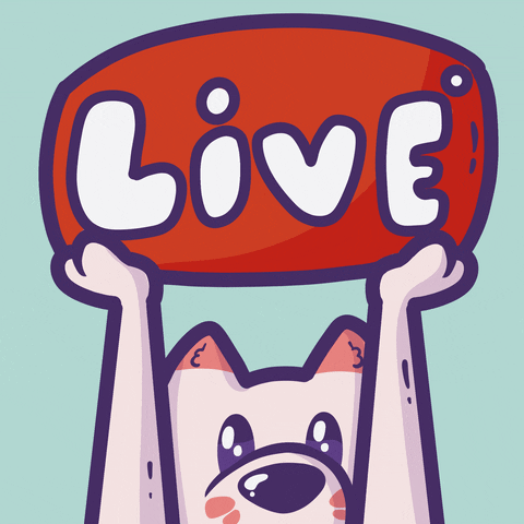 Going Live Fox GIF - Find & Share on GIPHY