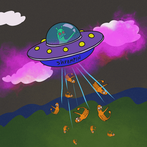 Area-of-a-circle GIFs - Get the best GIF on GIPHY