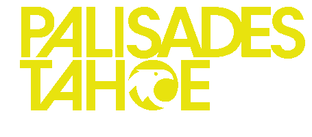Palisades Band Logo