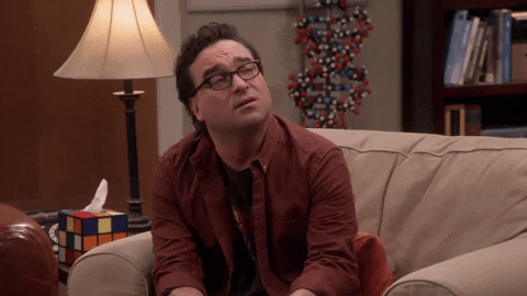 Leonard Hofstadter GIFs on GIPHY - Be Animated