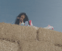 Hit The Hay Gif