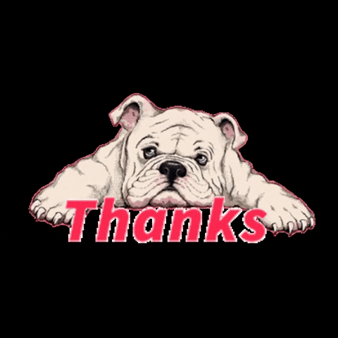 English Bulldog Love GIF by bulldogclub - Find & Share on GIPHY
