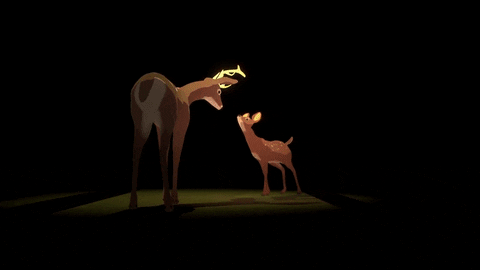 Way To The Woods GIFs - Get the best GIF on GIPHY
