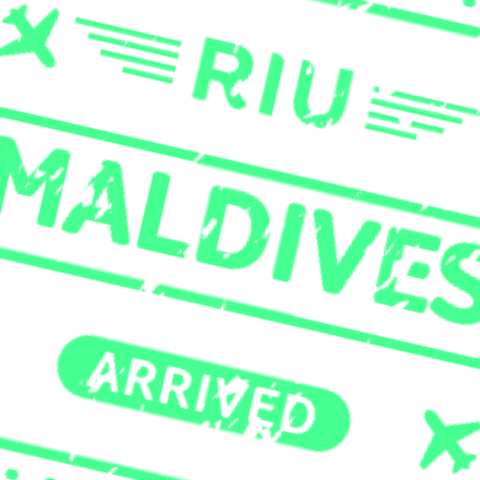 Riu GIFs - Get the best GIF on GIPHY