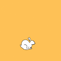 Bunny Hopping Animated Gif