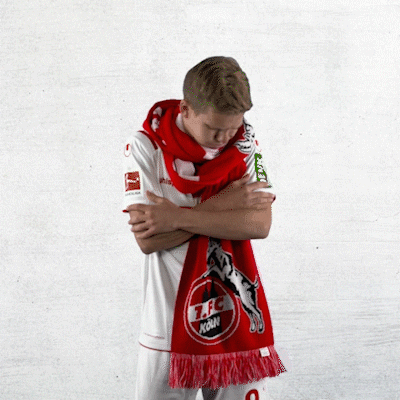 1 Fc Cologne Sport GIF by 1. FC Köln - Find & Share on GIPHY