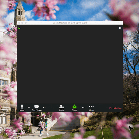 End Meeting GIFs - Get the best GIF on GIPHY