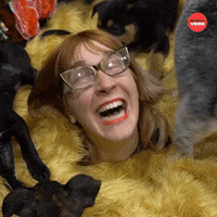 Best Gifs Ever