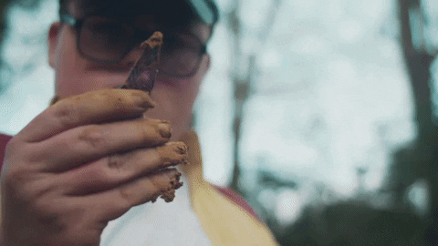 Crypt-monster-universe GIFs - Get the best GIF on GIPHY