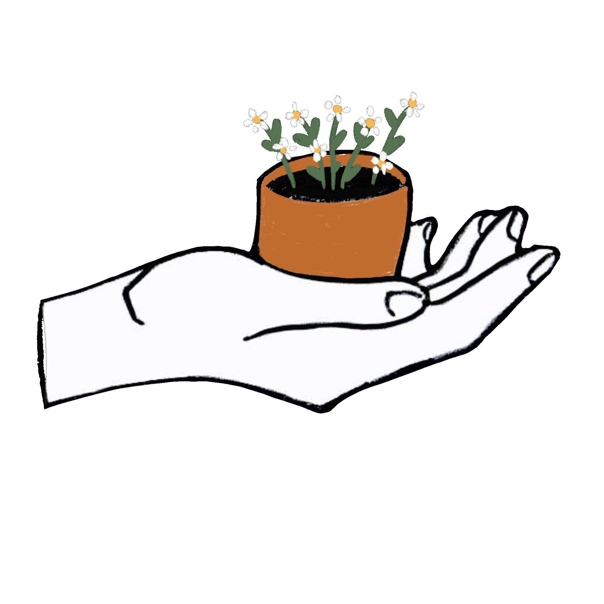 Flower Grow Sticker by DilleKamille for iOS & Android | GIPHY