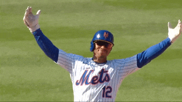 New York Mets GIFs on GIPHY - Be Animated