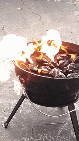Cooking Out GIFs - Get the best GIF on GIPHY