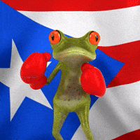 Puerto Rican Flag Waving Gif
