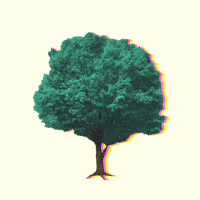 Animated Forest Trees Gif