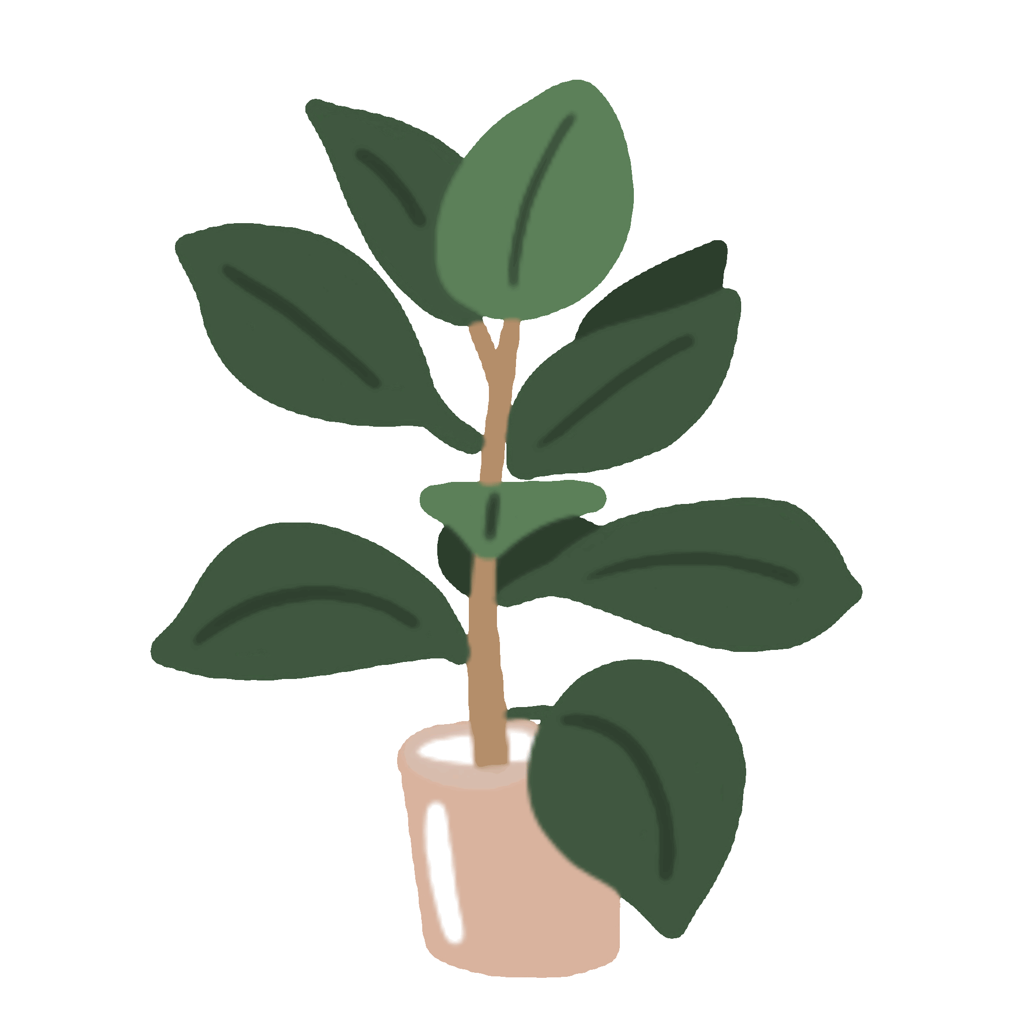 Pot Plants Sticker for iOS & Android | GIPHY