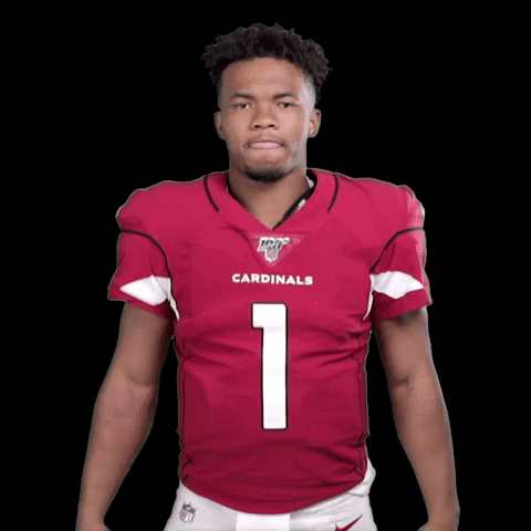 Arizona Cardinals Football GIF by NFL - Find & Share on GIPHY