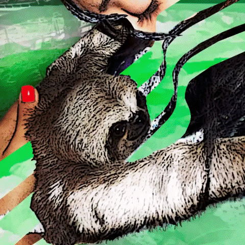 Gifs Animados De Pereza Perezoso GIF Conseguir El Mejor Gif En GIFER