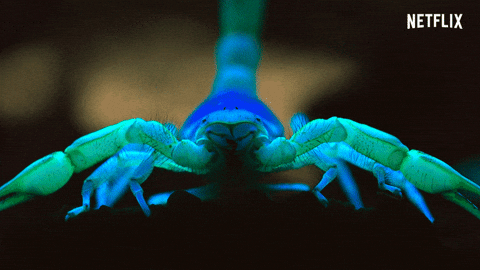 Thing Documentary GIFs - Get the best GIF on GIPHY